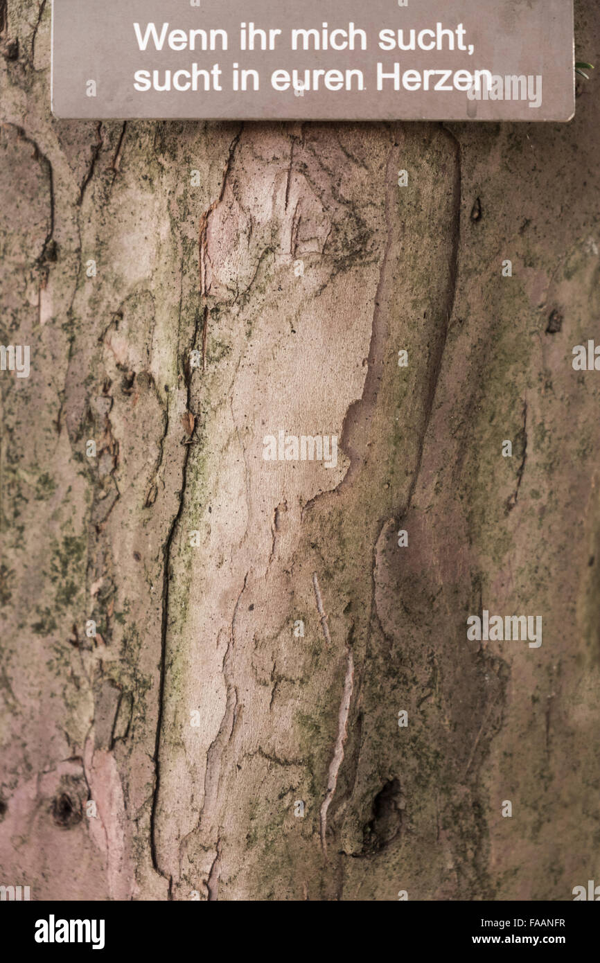 tree burial site at the waldfriedhof cemetery in stuttgart Stock Photo ...