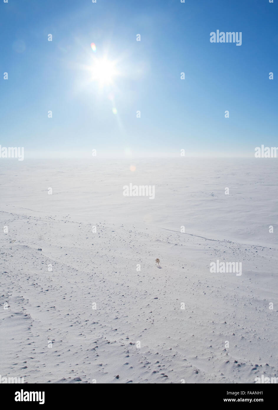 Cold desert arctic hi-res stock photography and images - Alamy