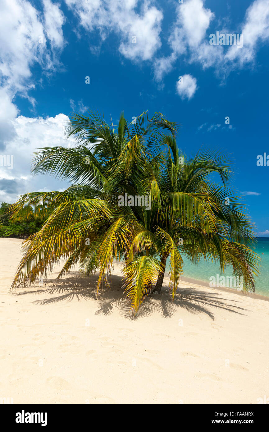 Beach on tropical island. Clear blue water, sand, palms Stock Photo - Alamy