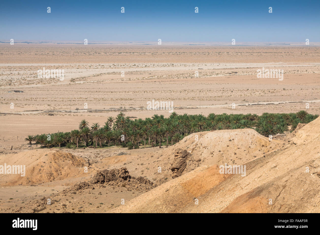Algeria oasis sahara river hi-res stock photography and images - Alamy