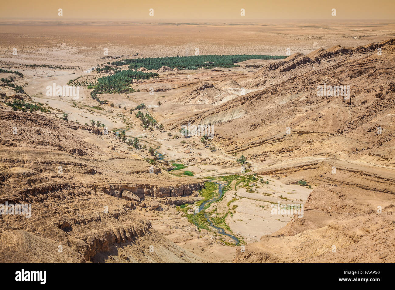 Algeria oasis sahara river hi-res stock photography and images - Alamy