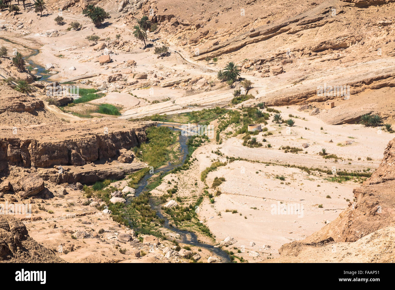Algeria oasis sahara river hi-res stock photography and images - Alamy