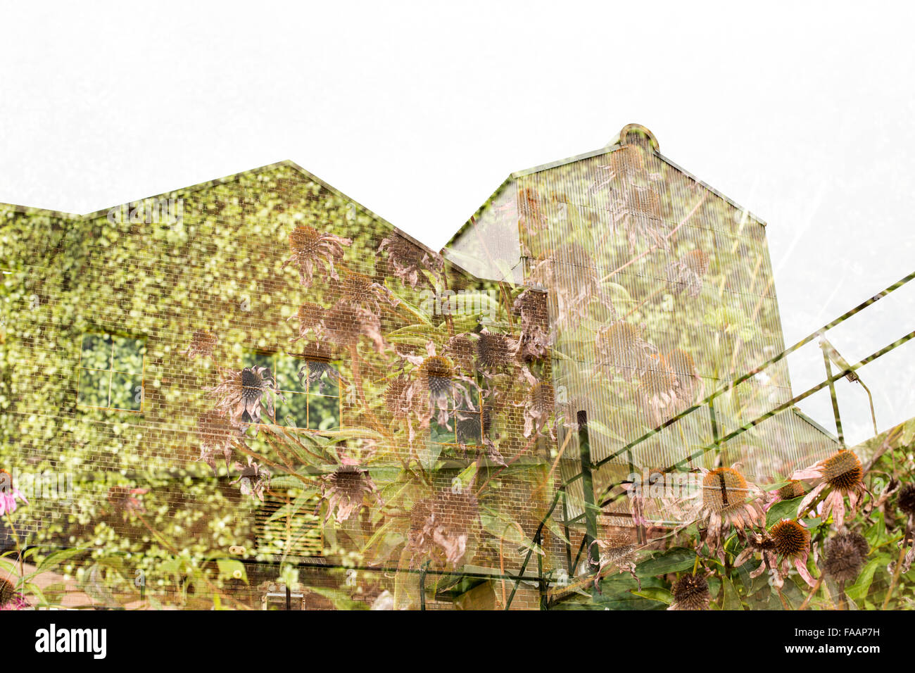 Architecture with double exposure hi-res stock photography and images ...