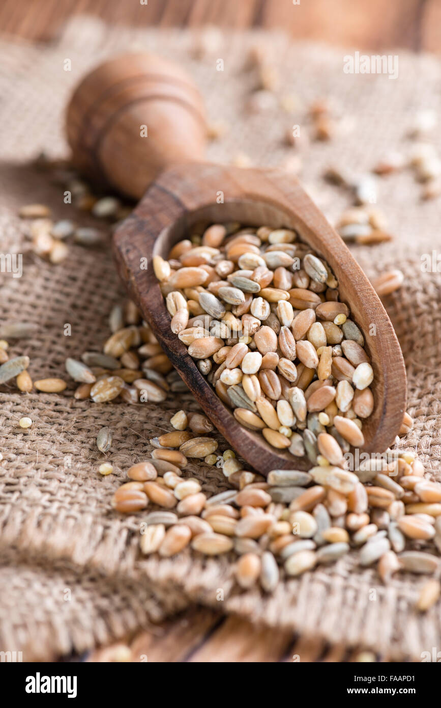 Cereals (wheat, rye, barley, oat and millet) on dark wooden background ...