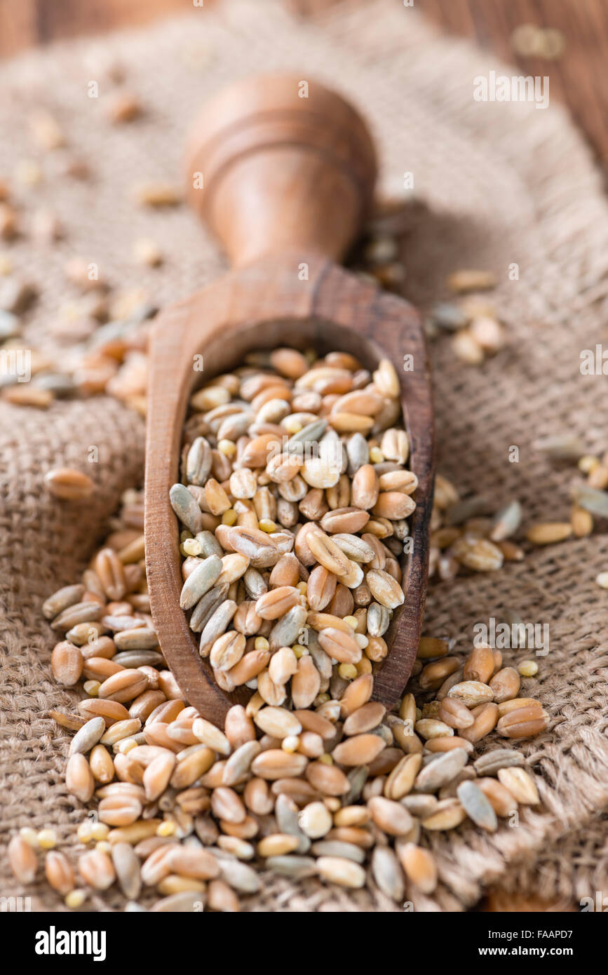 Wheat, barley, rye, and oats hi-res stock photography and images - Alamy