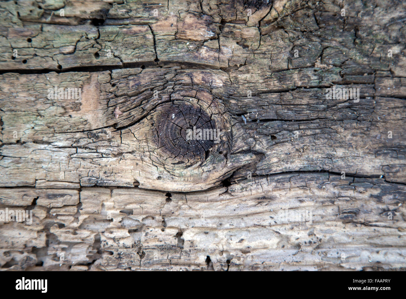 Aged lumber texture hi-res stock photography and images - Alamy