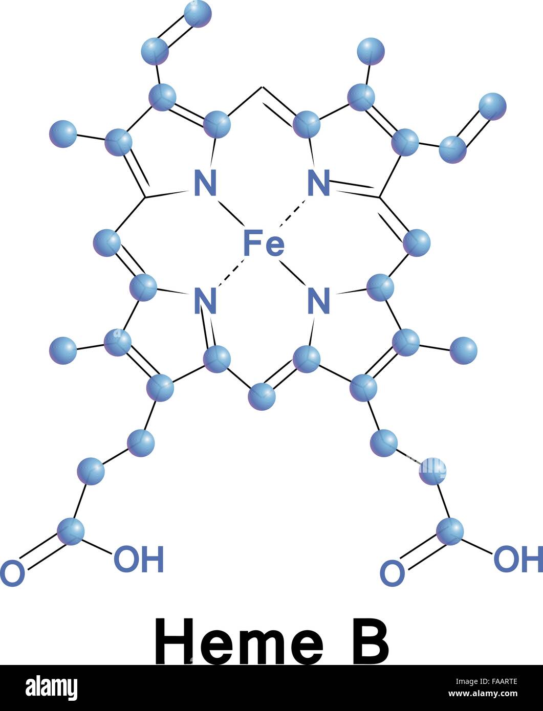 Heme b molecule hi-res stock photography and images - Alamy