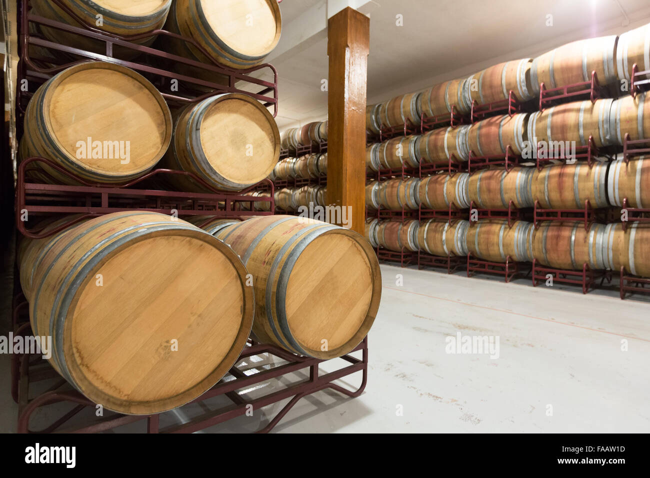 Many wooden barrels in cellar Stock Photo - Alamy