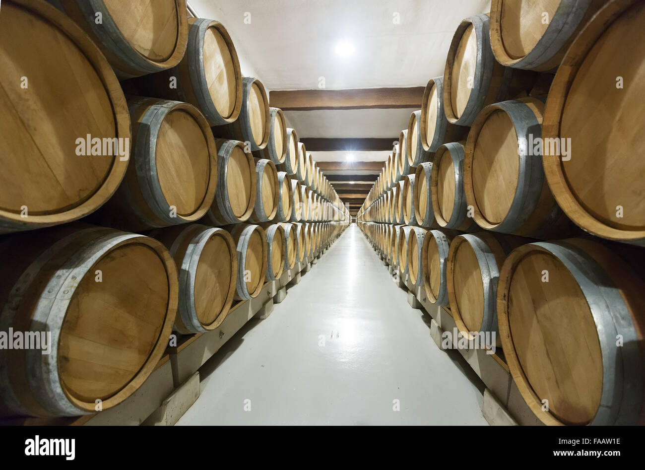 winery factory with many barrels Stock Photo - Alamy
