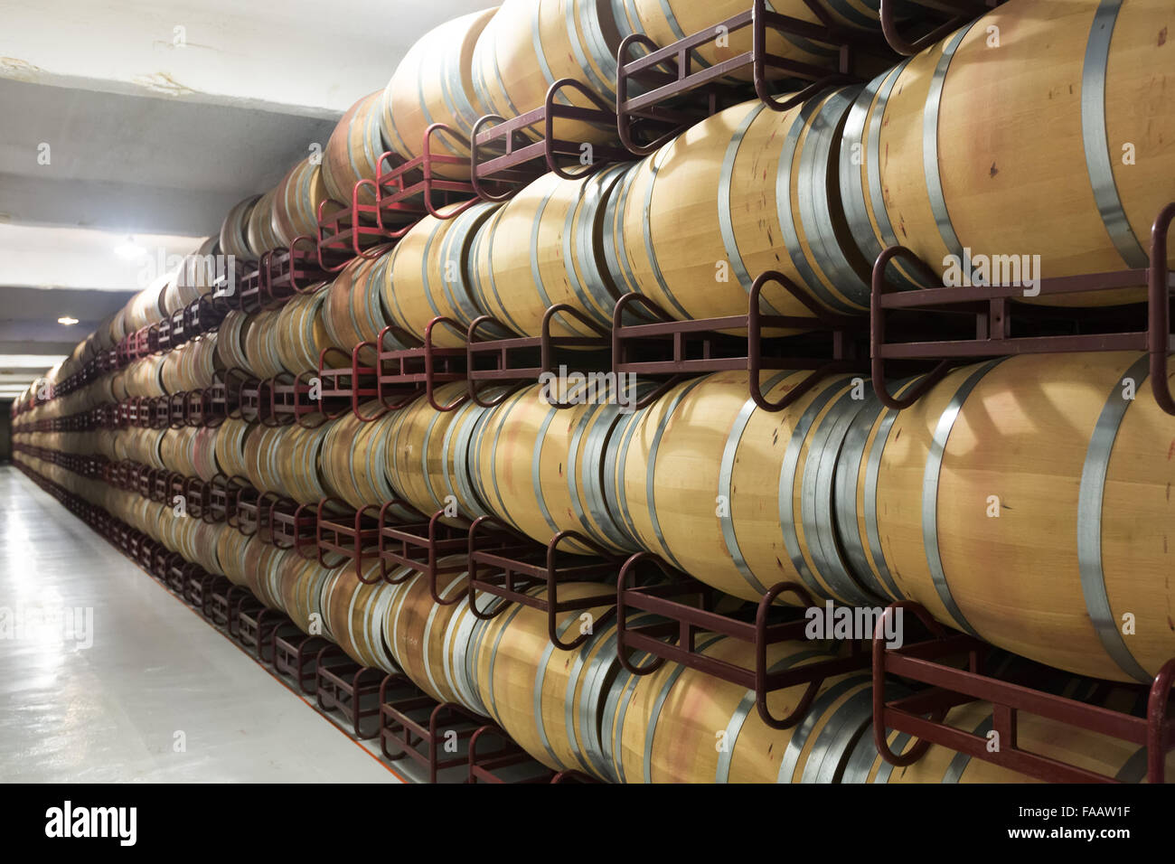 Many wooden barrels in wine cellar Stock Photo - Alamy