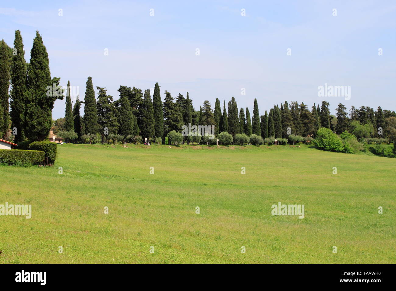 Cypress trees and green meadows in a classical tuscany landscape Stock ...
