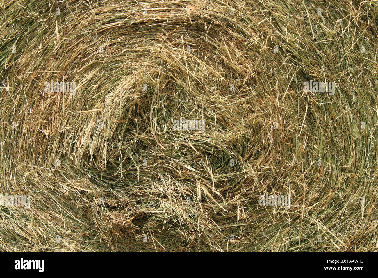 Detailed crop landscape hi-res stock photography and images - Alamy