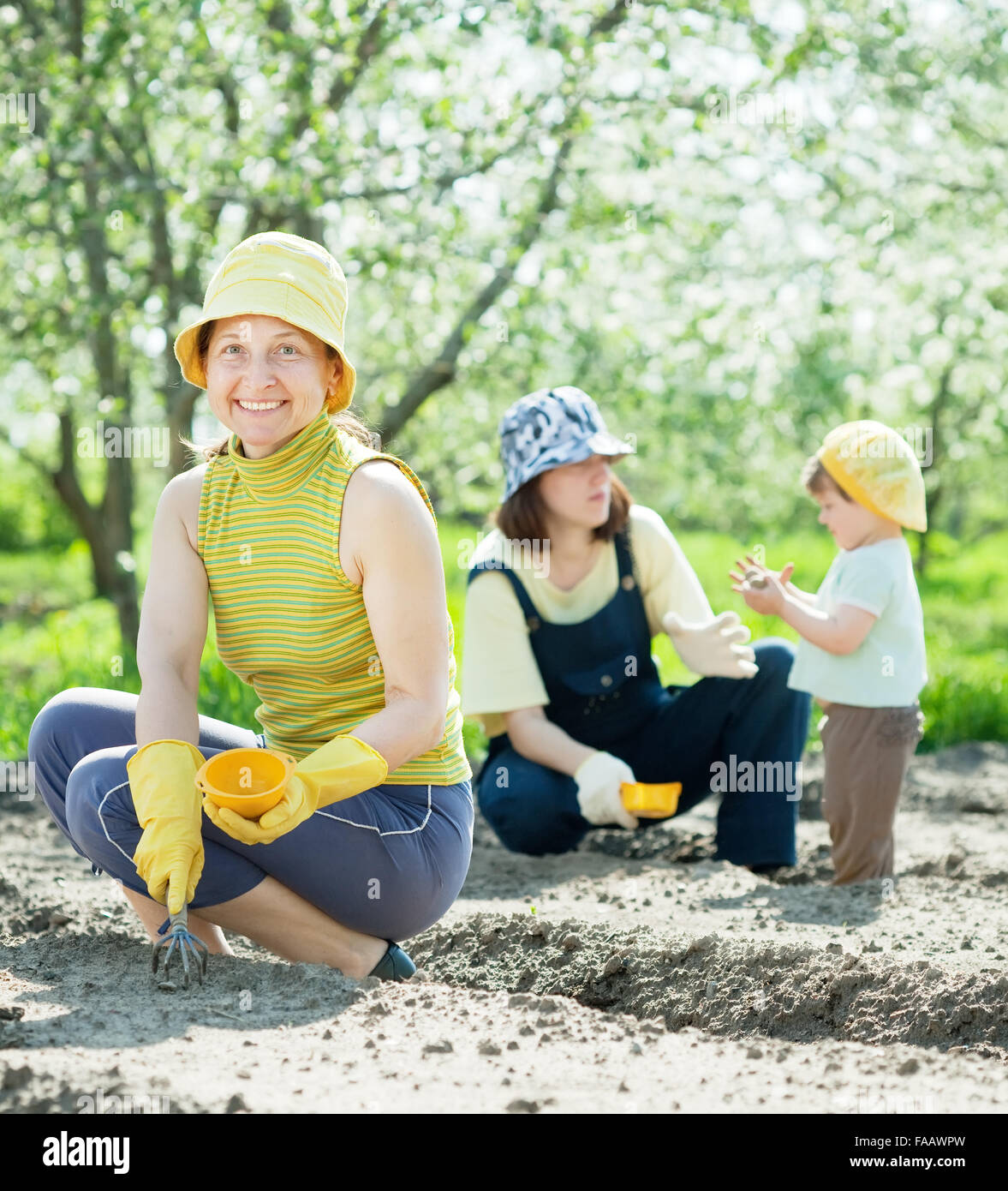 Happy family sows seeds in soil at field Stock Photo - Alamy
