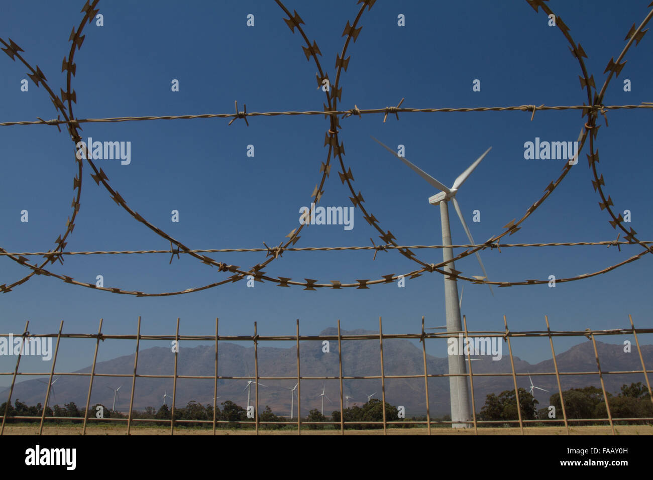 Wind farm gouda south hi-res stock photography and images - Alamy
