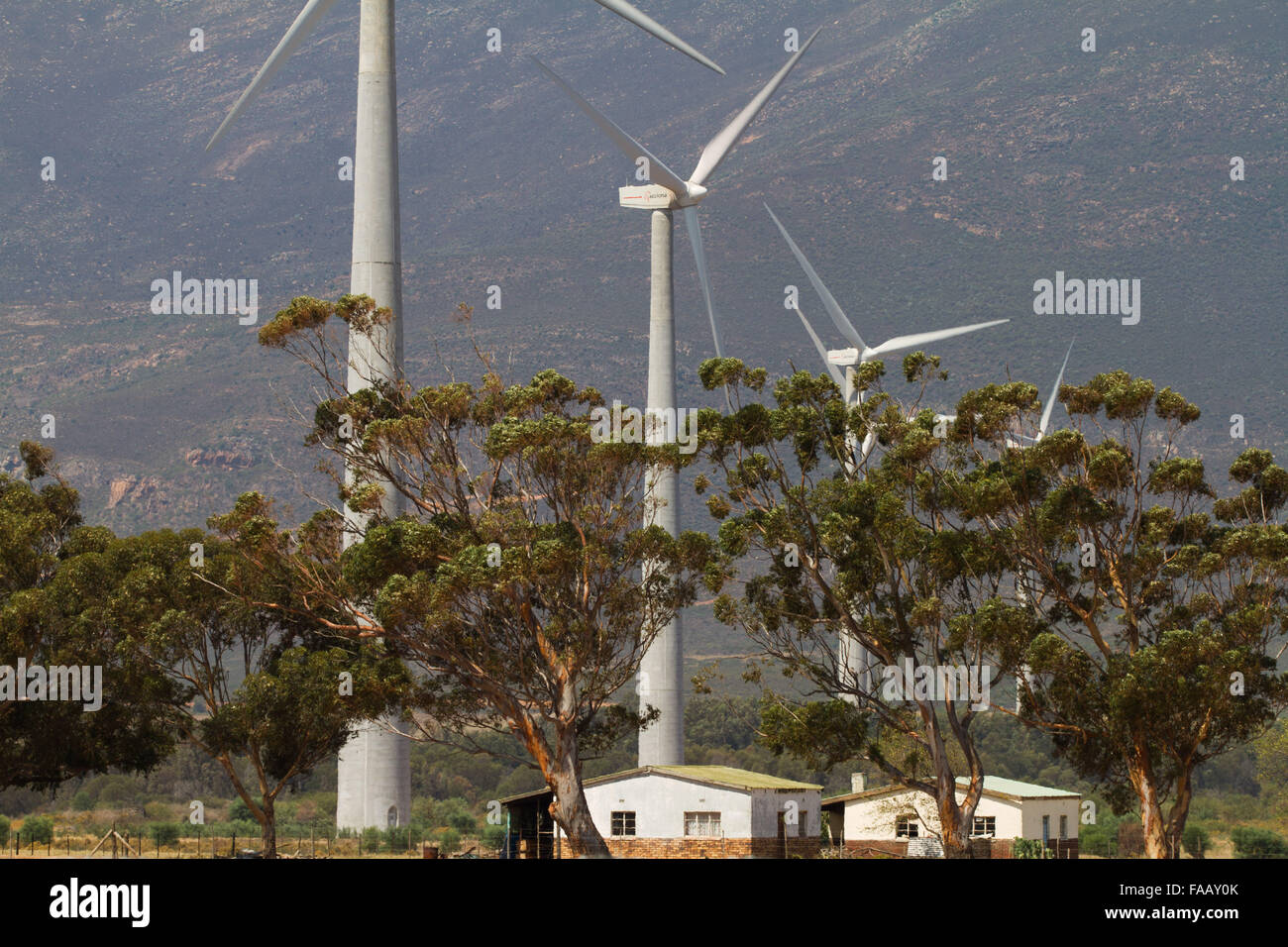 Gouda wind farm, Western Cape, South Africa. Farm labourers' cottages ...