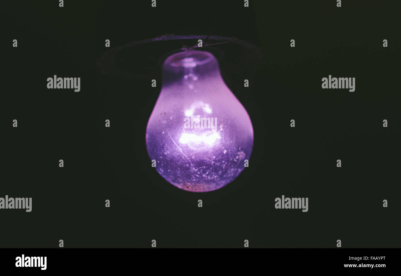 Purple light of the retro interior bulb Stock Photo - Alamy