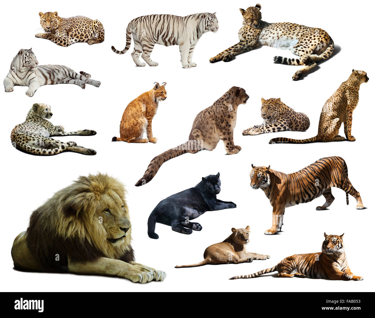 Big set male female Cut Out Stock Images & Pictures - Alamy