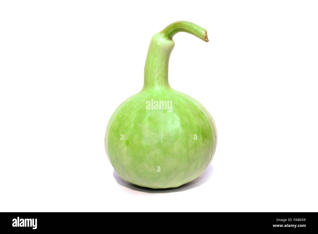 Calabash On Isolated White Background Stock Photo - Alamy
