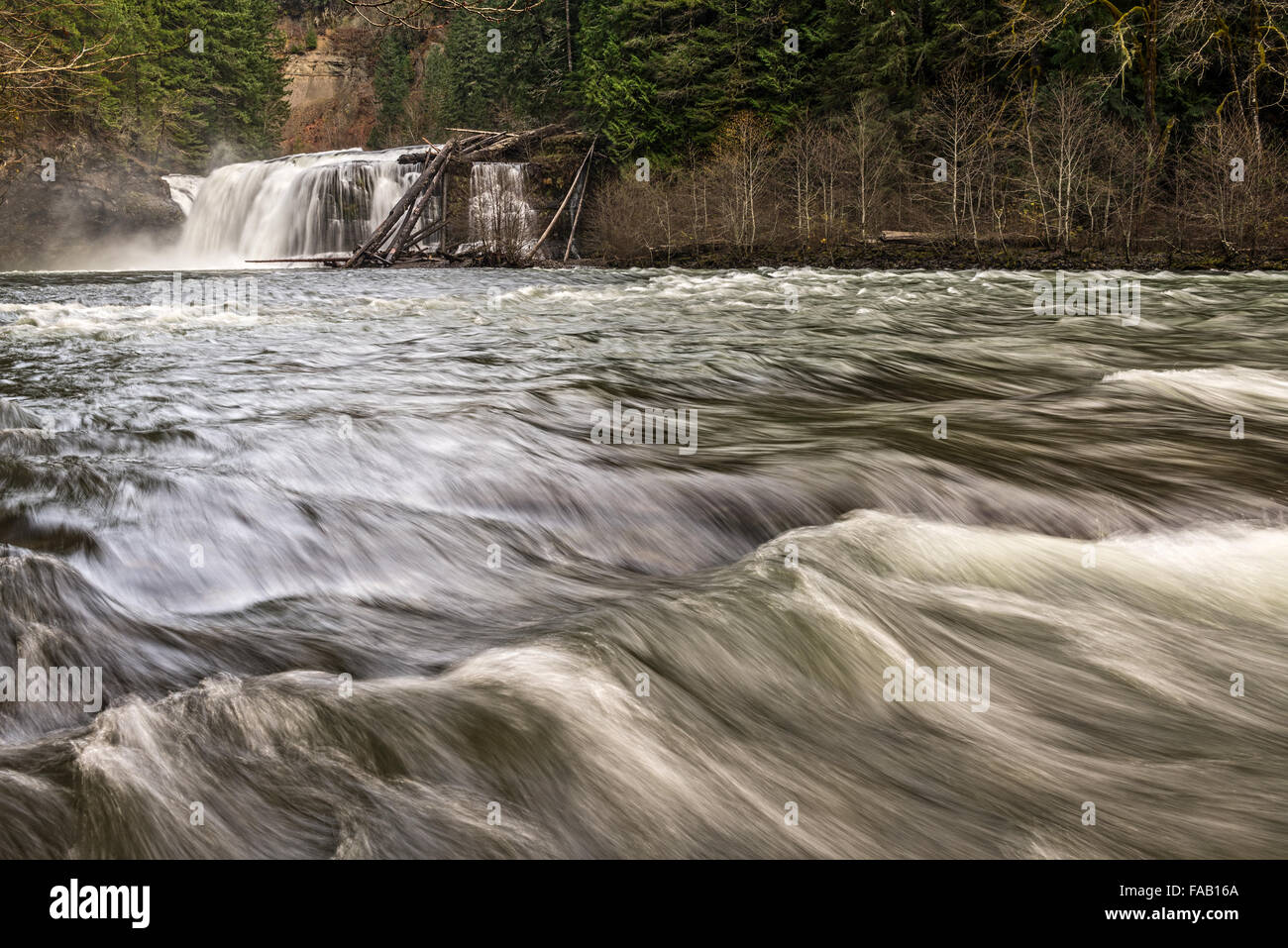 Lower Lewis River Falls in Washington State Stock Photo - Alamy