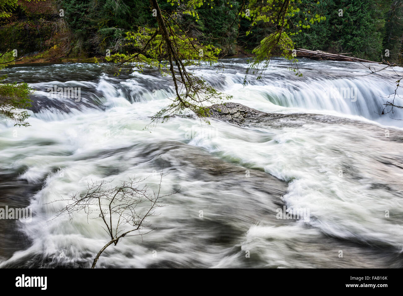 Lower Lewis River Falls in Washington State Stock Photo - Alamy