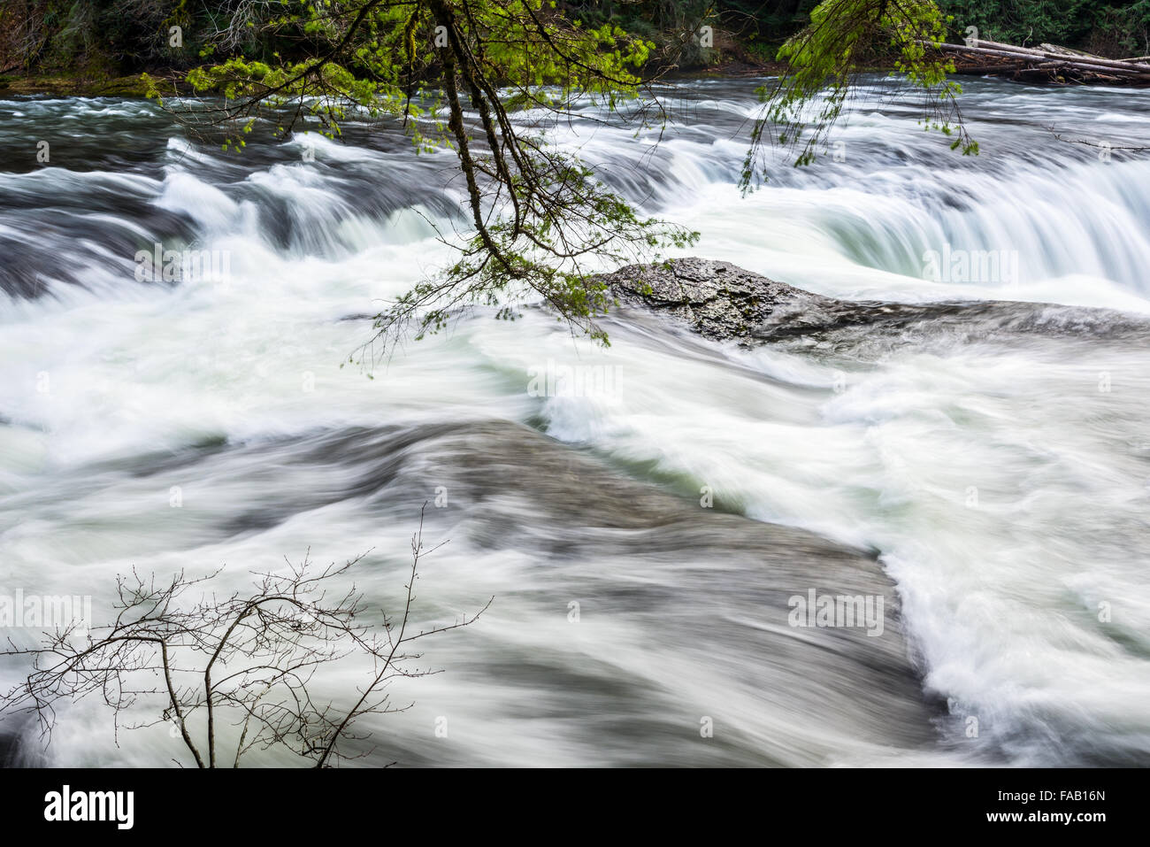 Lower Lewis River Falls in Washington State Stock Photo - Alamy