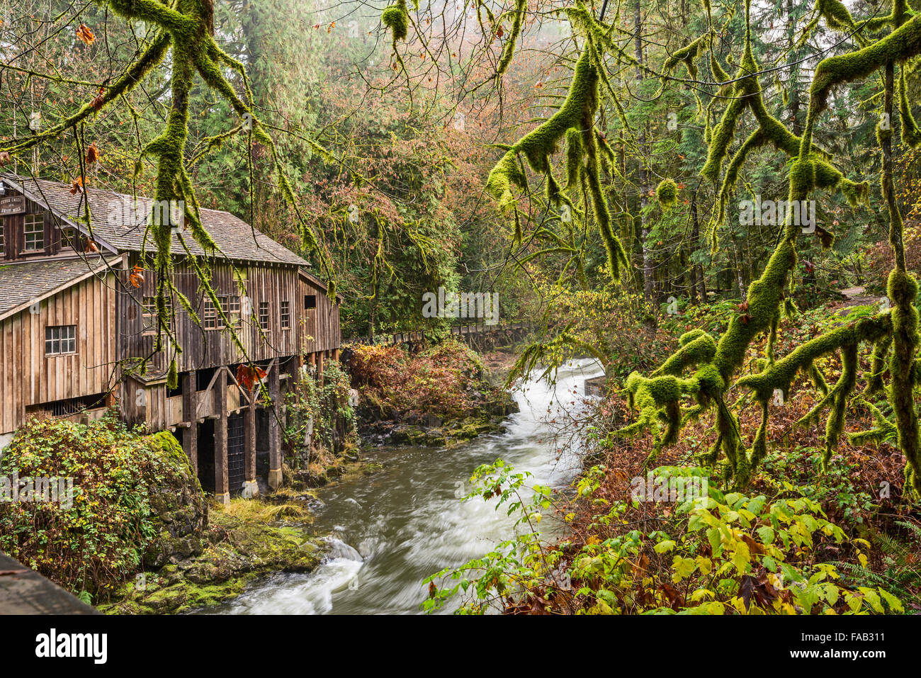 Cedar antique hi-res stock photography and images - Alamy