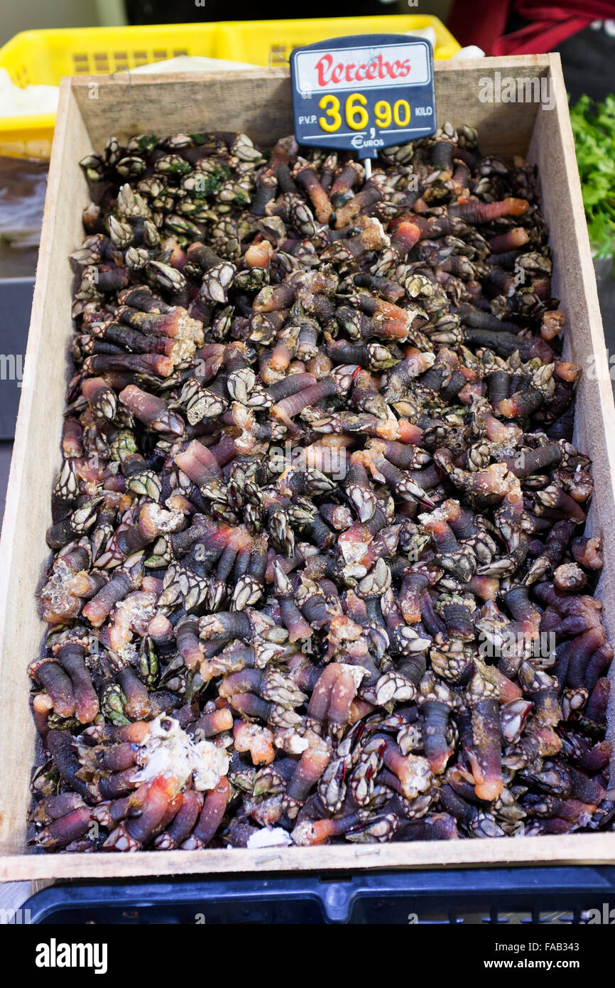 Fresh barnacles hi-res stock photography and images - Alamy