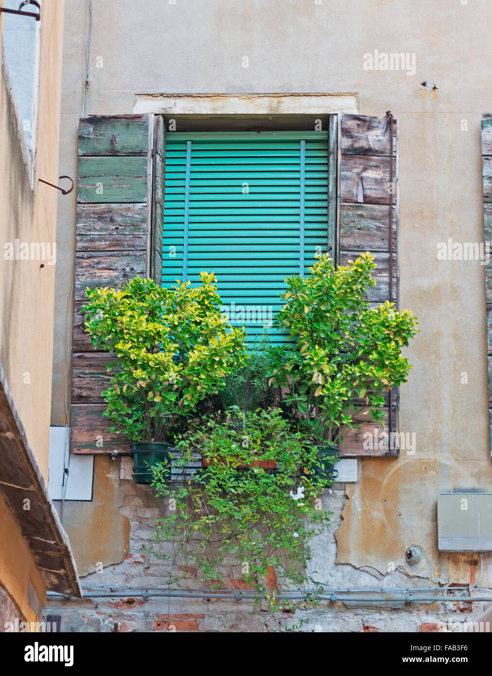 old windows in world famous Venice, Italy Stock Photo - Alamy