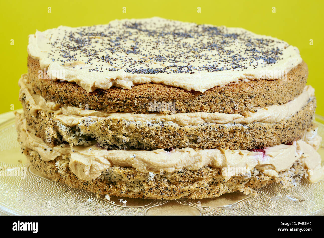 Sponge cake with poppy and caramel cream Stock Photo - Alamy