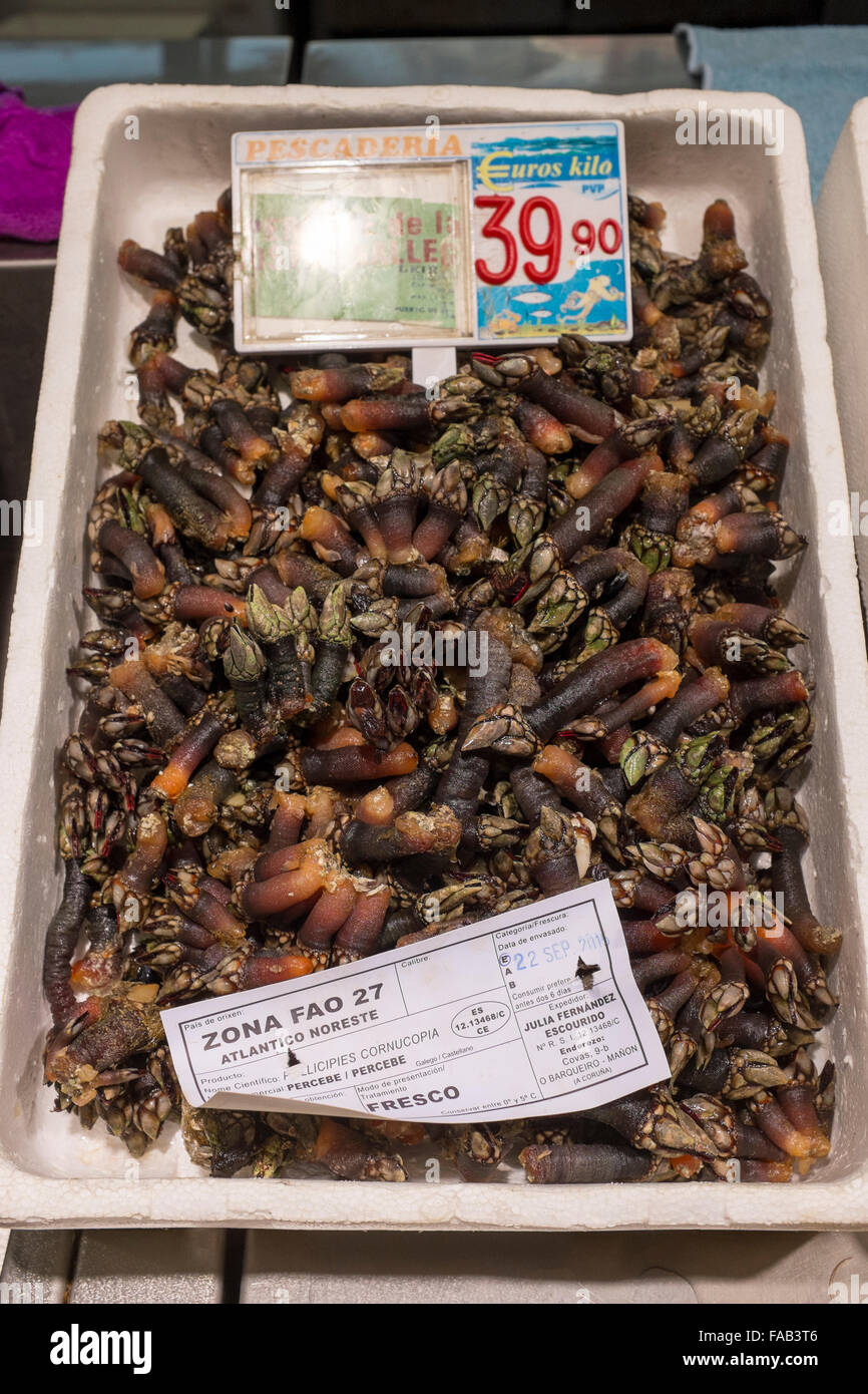 Goose barnacles hi-res stock photography and images - Alamy