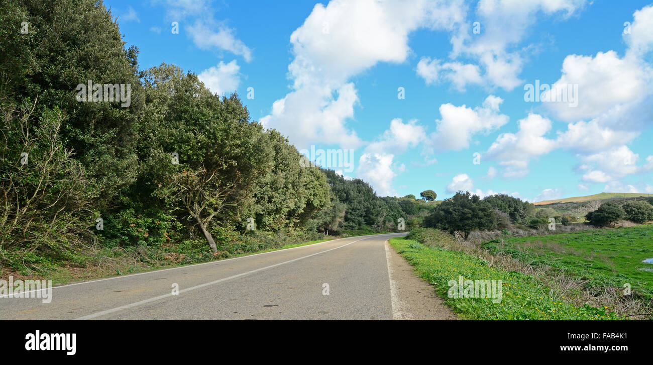 country road seen from the right edge Stock Photo - Alamy