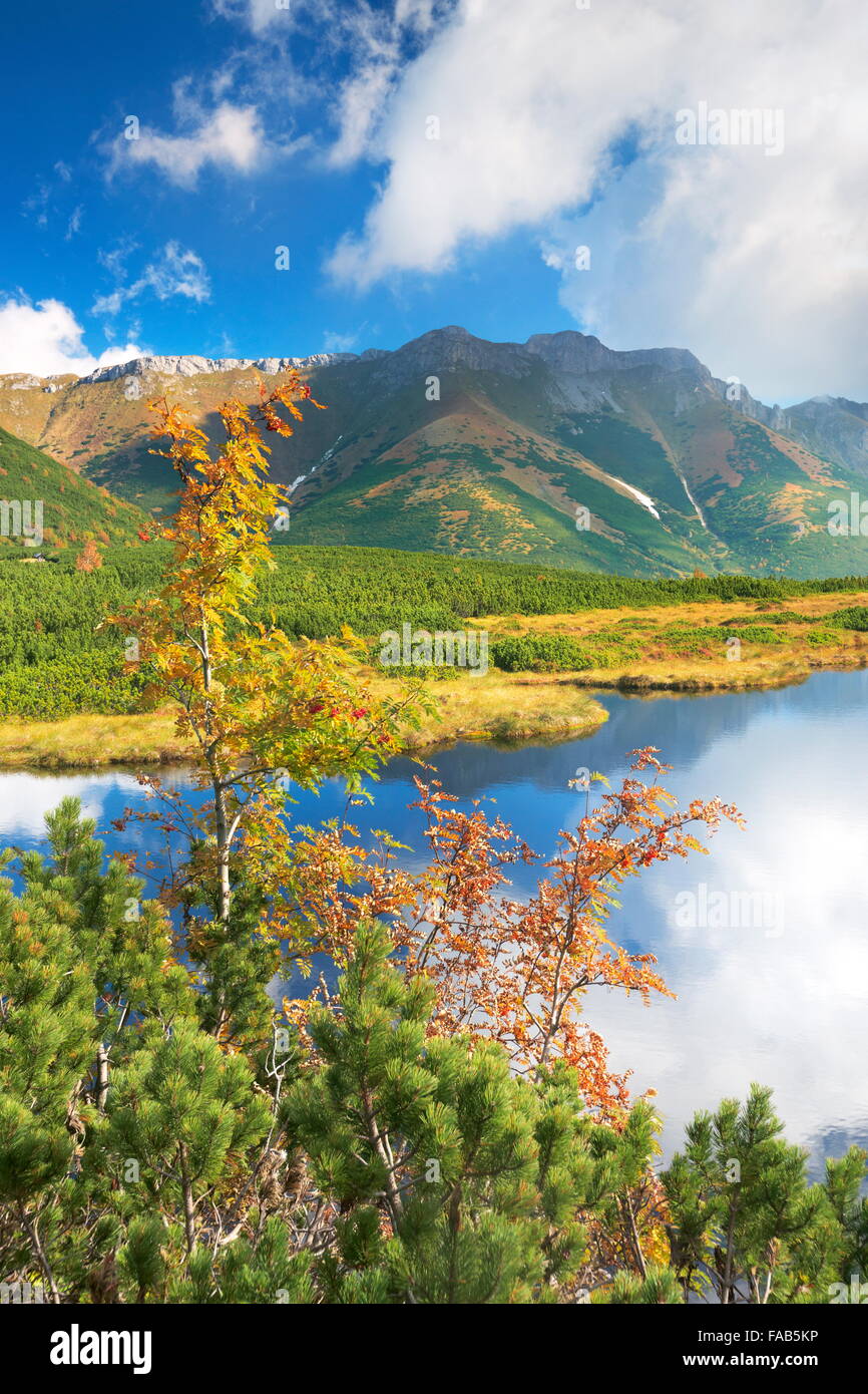 National park the high tatra mountains hi-res stock photography and ...