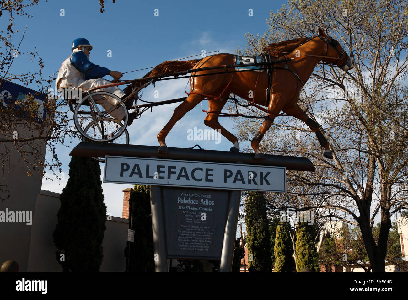 Paleface Adios (1969–1989) was an Australian harness racing horse breed ...