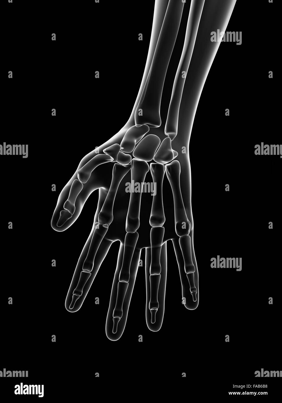 Hand structure illustration Black and White Stock Photos & Images - Alamy