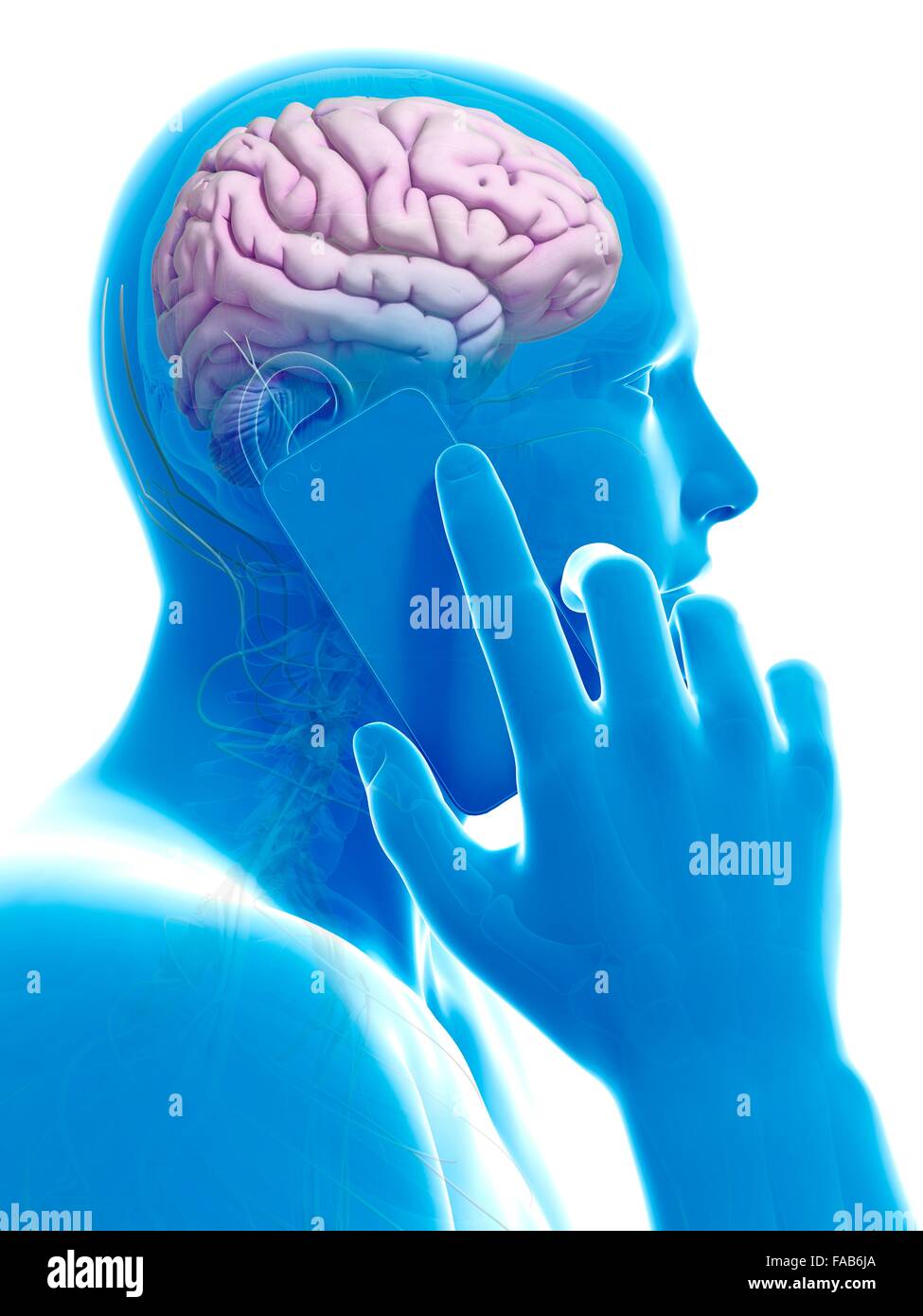 The influence of using a cell phone on the human brain, computer ...