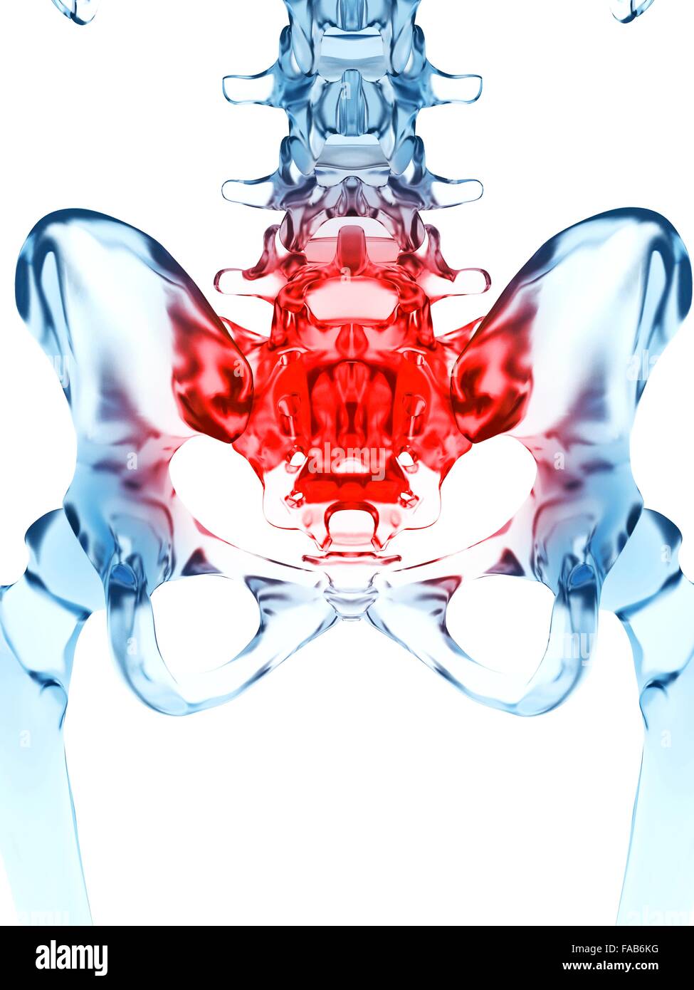 Human sacrum pain hi-res stock photography and images - Alamy