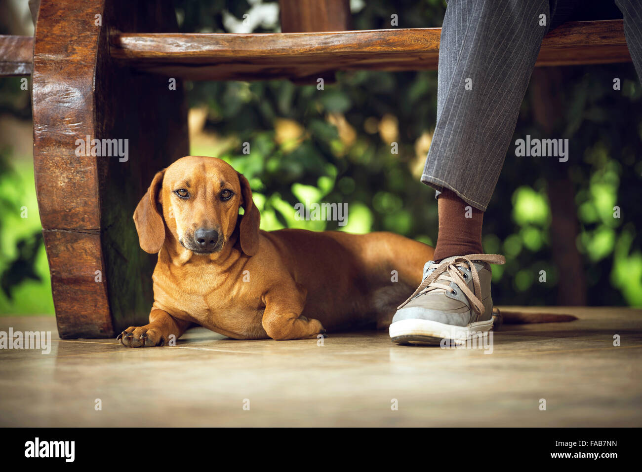 Lying down under table hi-res stock photography and images - Alamy
