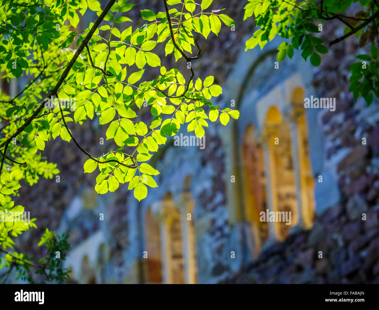 Views along three castle walk, (Castel d'Appiano), in Northern Italy ...