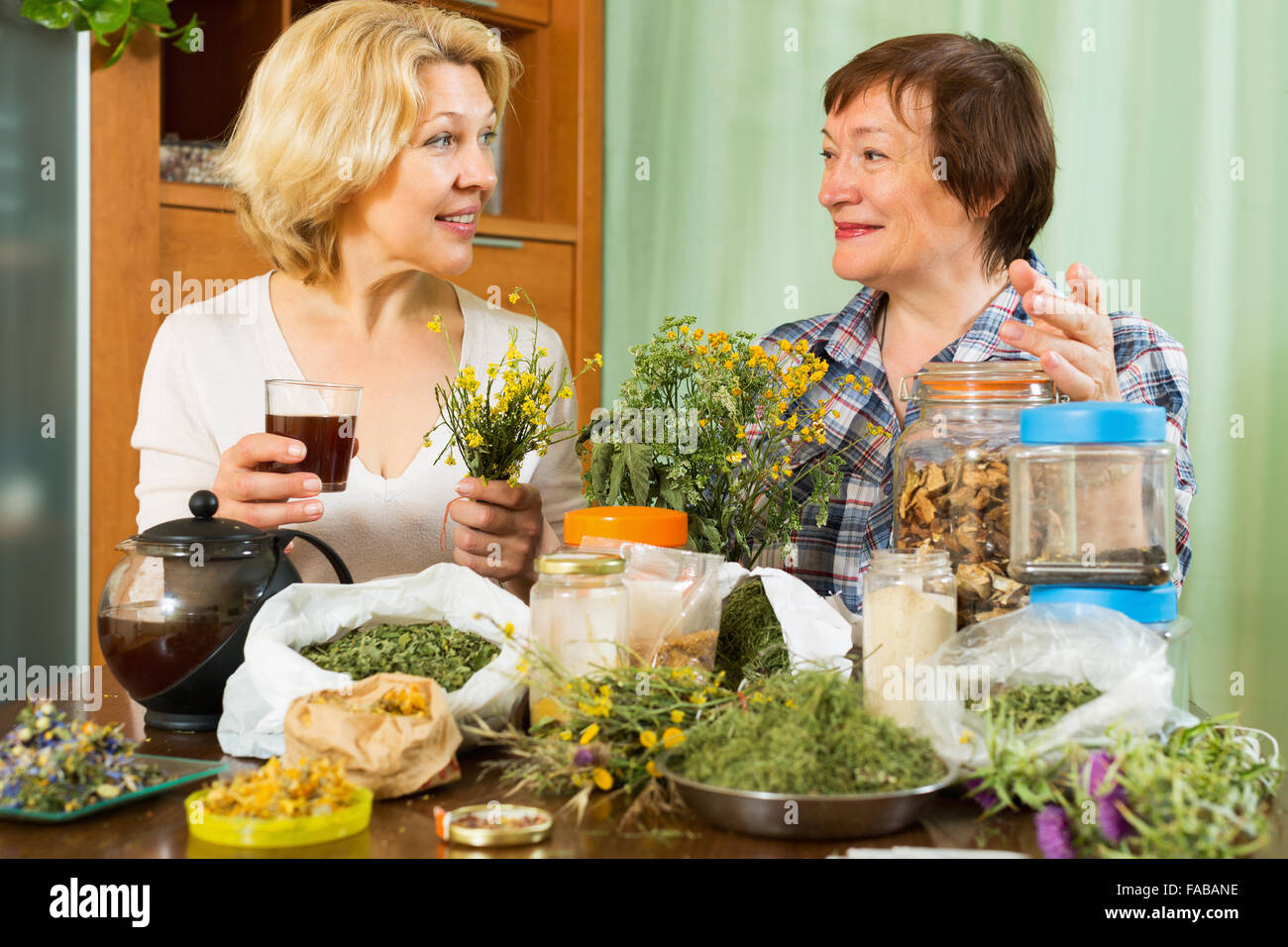 Two mature pensioner sitting at the table with herbal tea and herbs ...