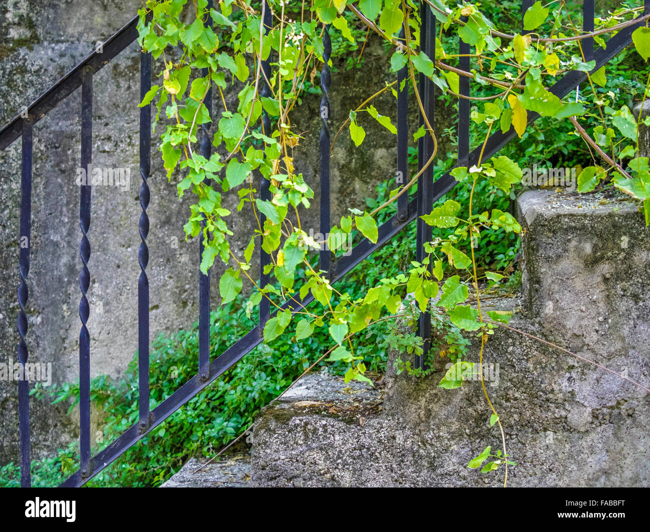 Rustic stone steps hi-res stock photography and images - Alamy