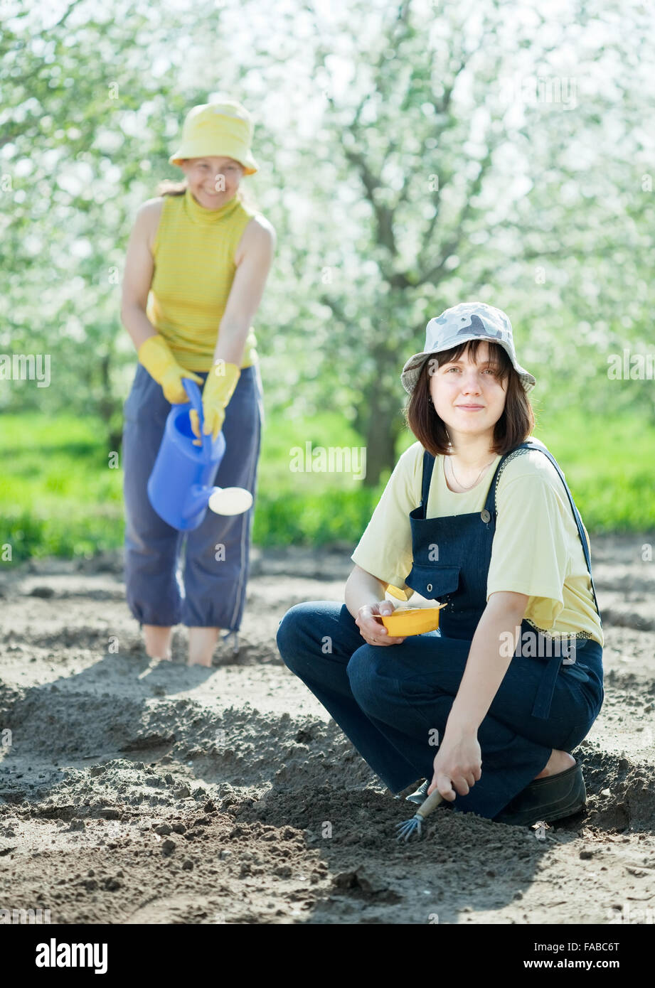 Two sows hi-res stock photography and images - Alamy