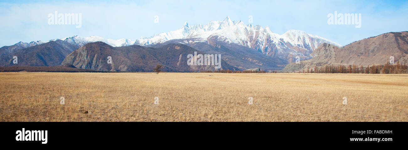 Alpine steppe in the background of snowy mountains Stock Photo - Alamy