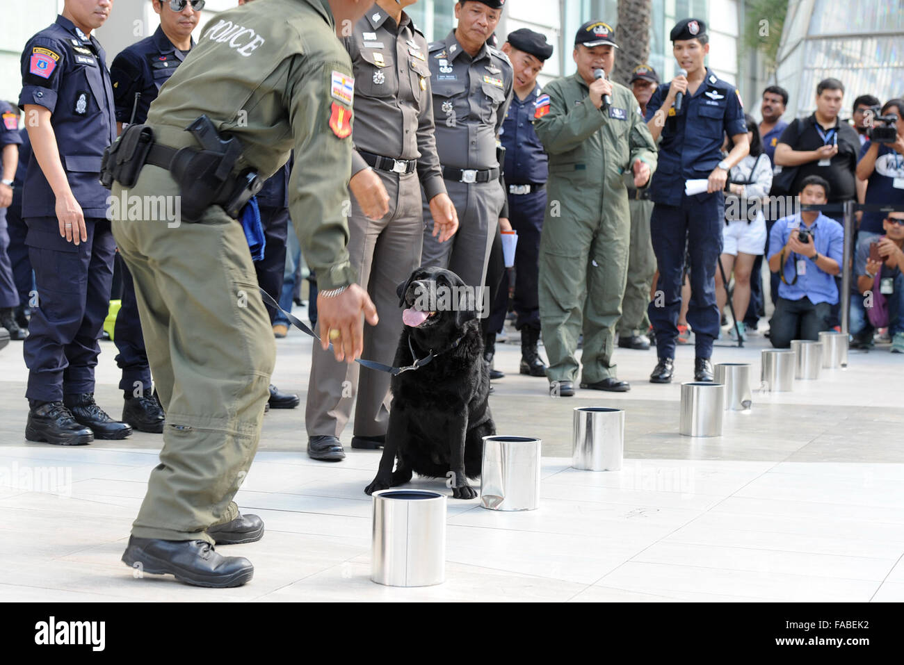 Bomb sniffing dog hi-res stock photography and images - Alamy