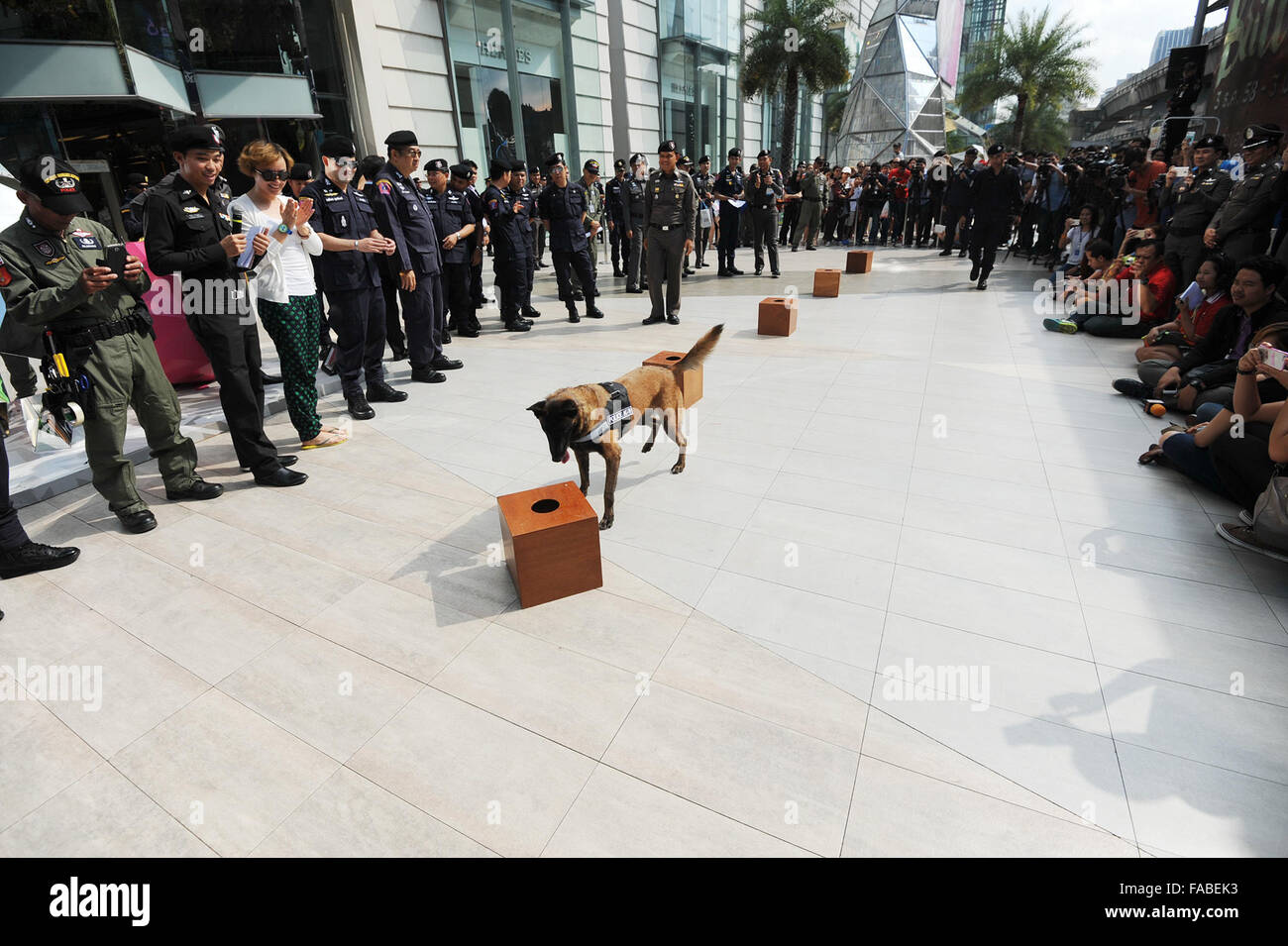Bangkok, Thailand. 26th Dec, 2015. A bomb-sniffing dog performs ...