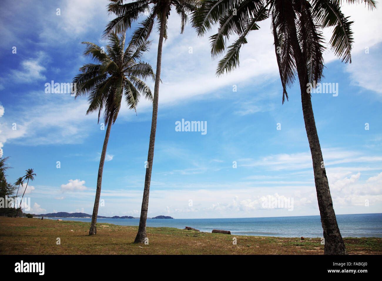Coconut trees sea hi-res stock photography and images - Alamy