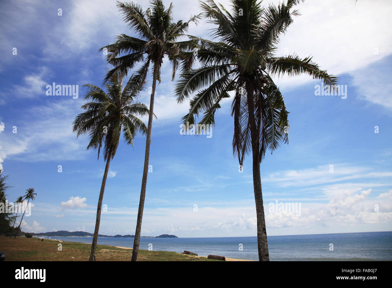 Coconut trees sea hi-res stock photography and images - Alamy