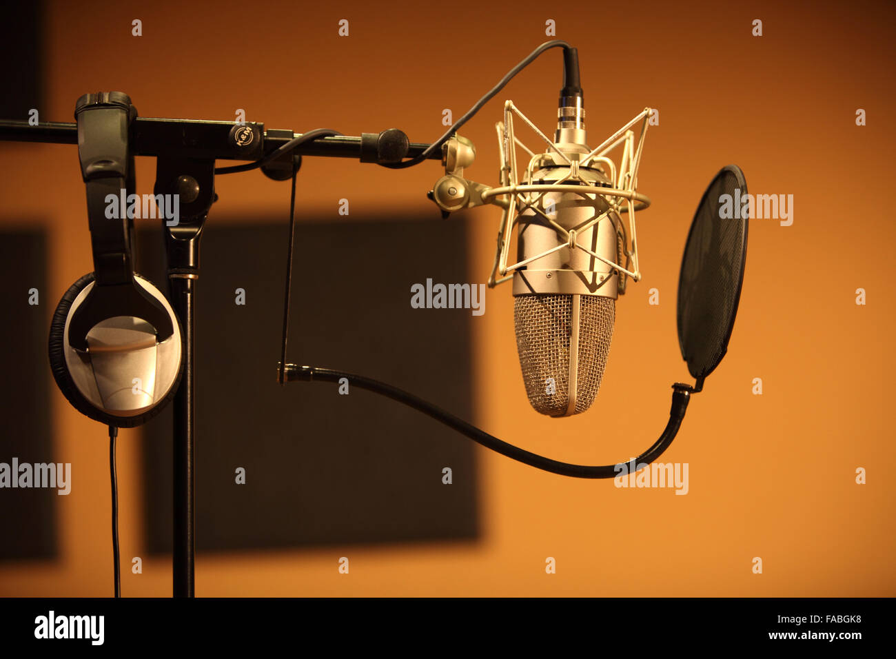 professional microphone in the recording Stock Photo - Alamy