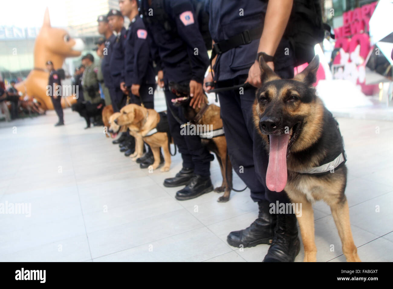Bangkok, Thailand. 26th Dec, 2015. A Thai K9 unit and EOD unit stands ...