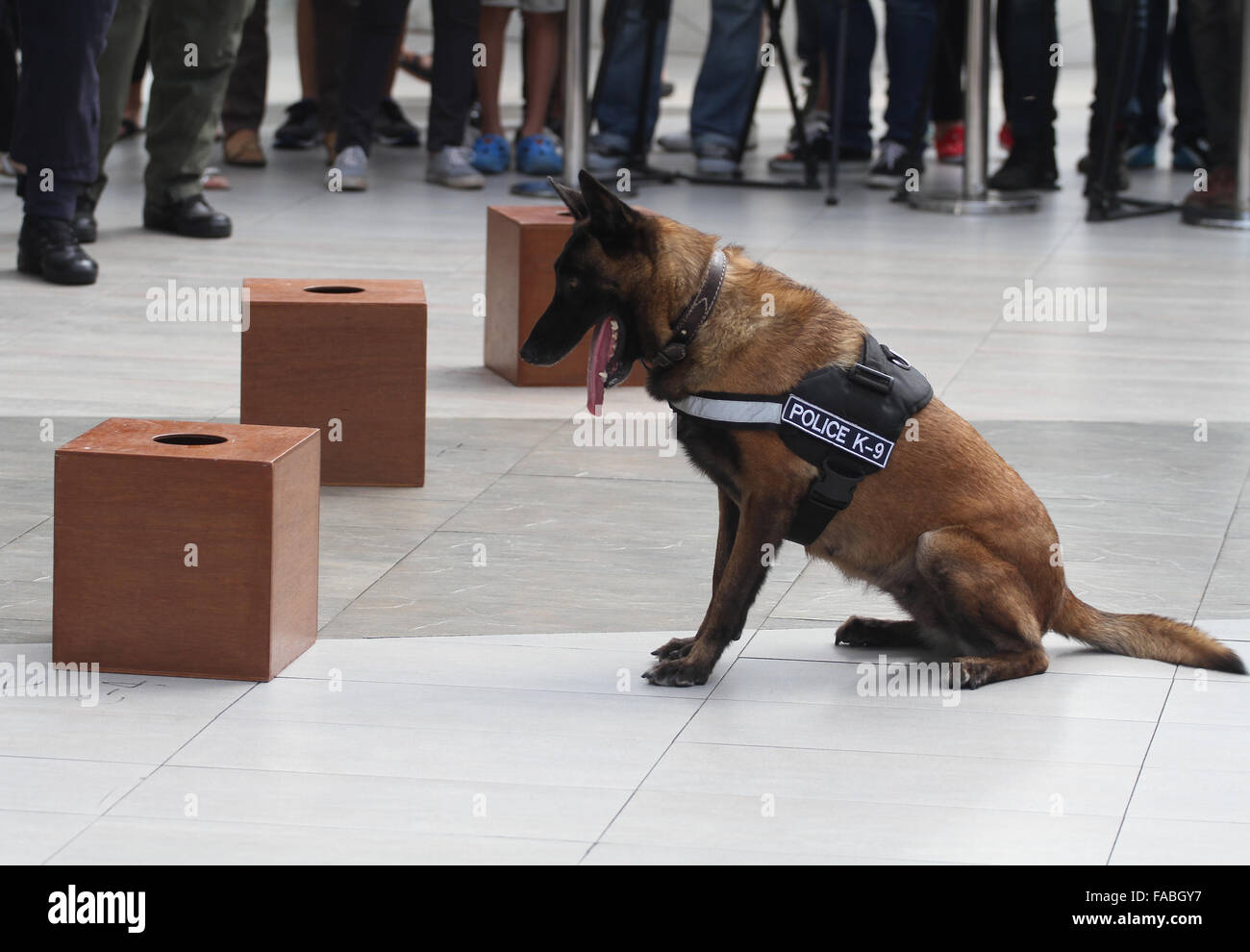 Bangkok, Thailand. 26th Dec, 2015. A Thai K9 unit and EOD unit stands ...