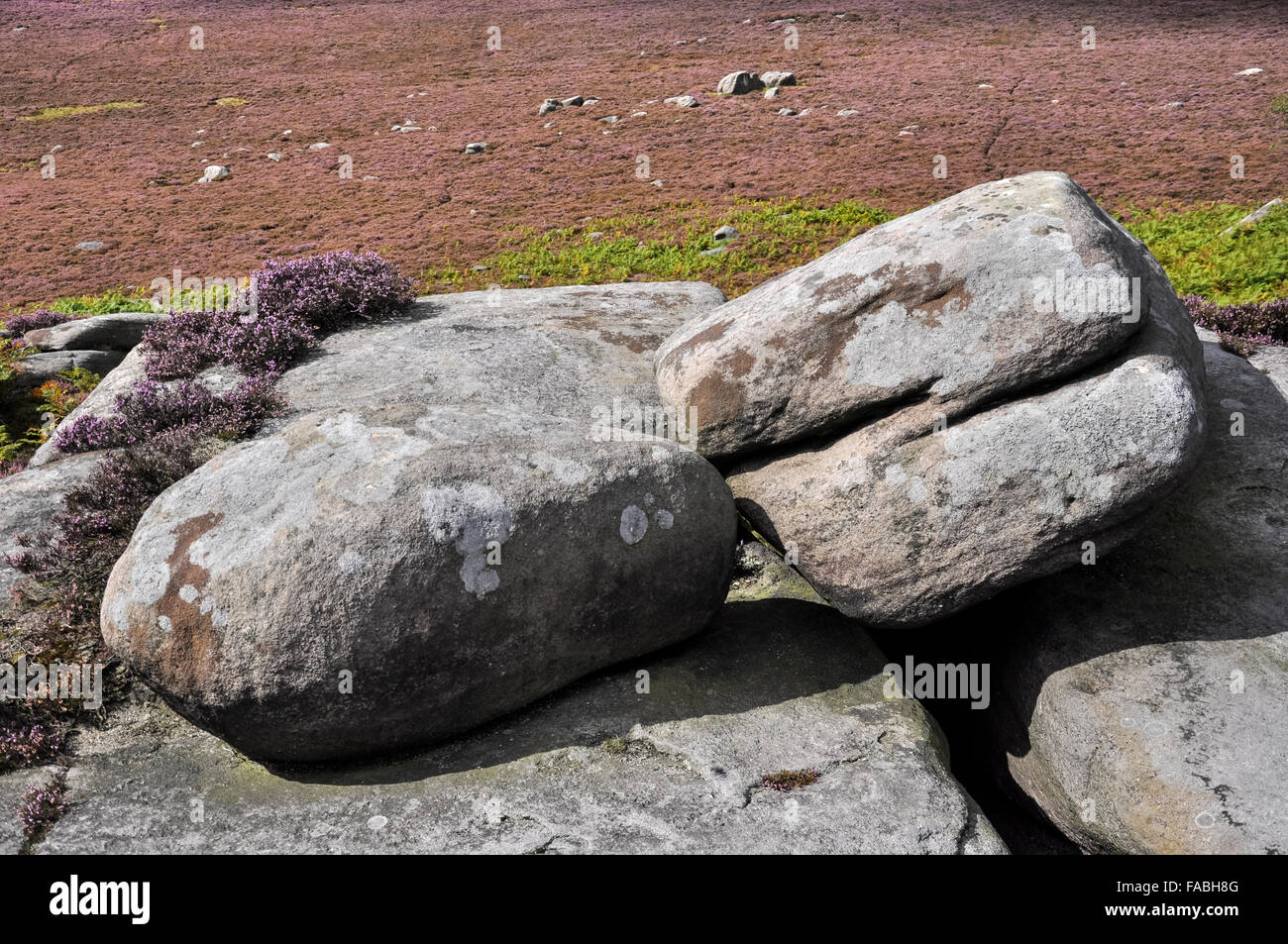 Weathered gritstone boulders hi-res stock photography and images - Alamy